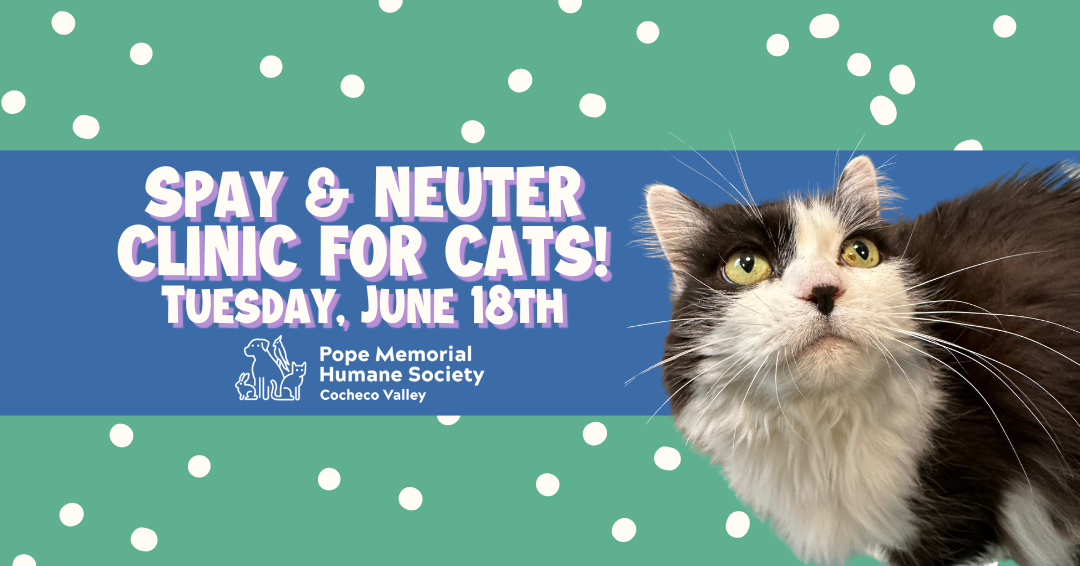 Spay & Neuter Clinic for Cats | Pope Memorial Humane Society