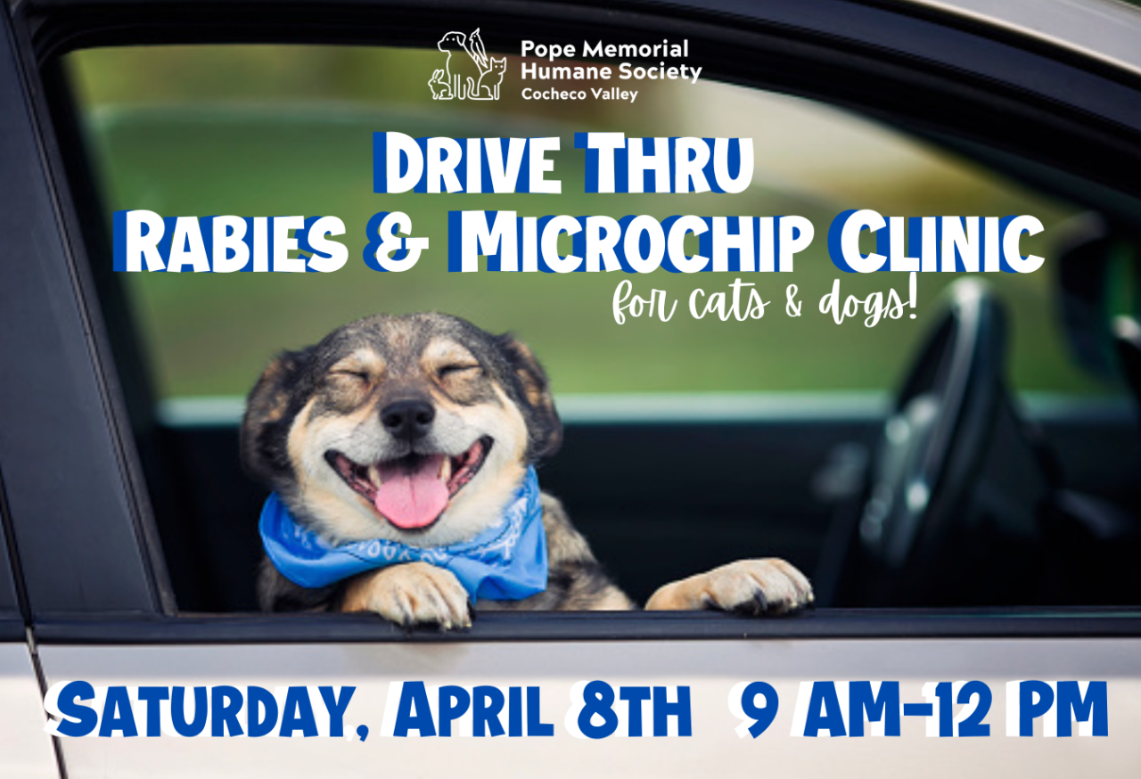 Drive Thru Rabies & Microchip Clinic for Dogs & Cats | Pope Memorial ...