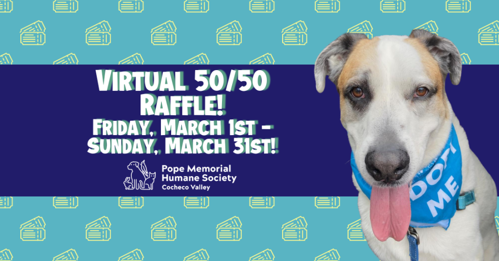 Virtual 50/50 Raffle | Pope Memorial Humane Society-Cocheco Valley