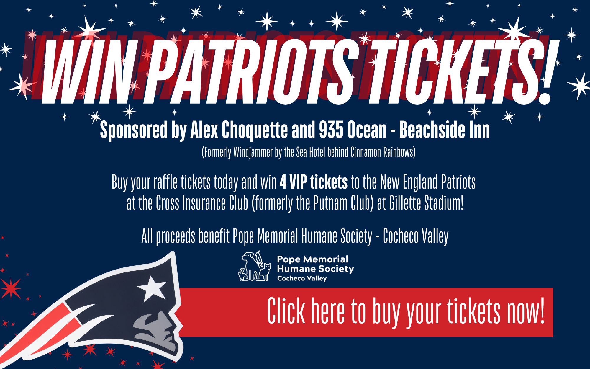 Dog & Cat Adoptions | Small Animal Adoptions | Cocheco Valley