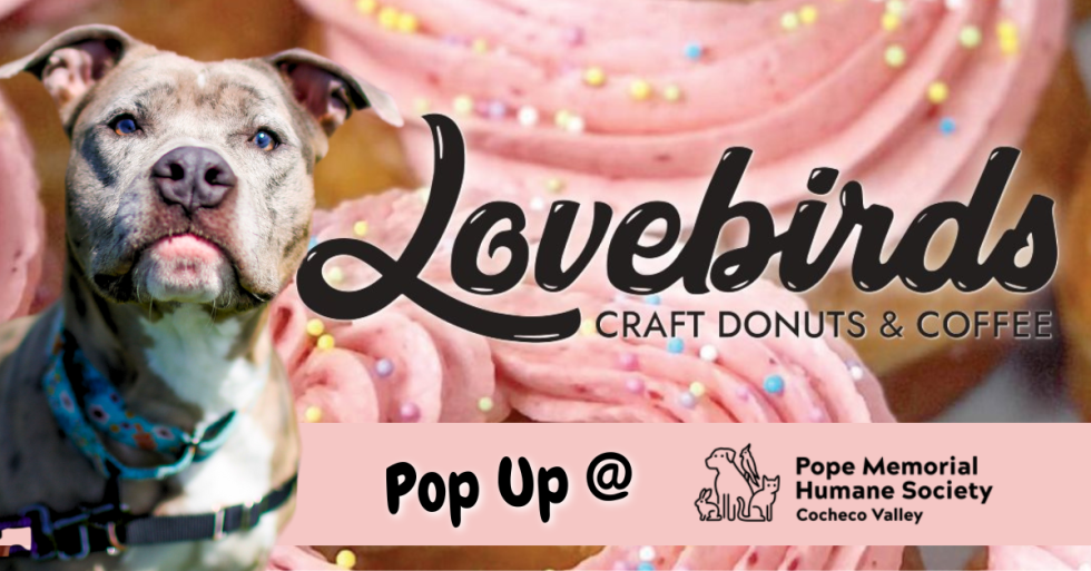 Lovebirds Donuts Pop Up at PMHS-CV | Pope Memorial Humane Society ...