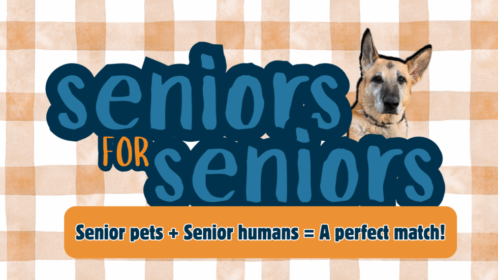 Senior for Seniors Adoption Program | Pope Memorial Humane Society ...
